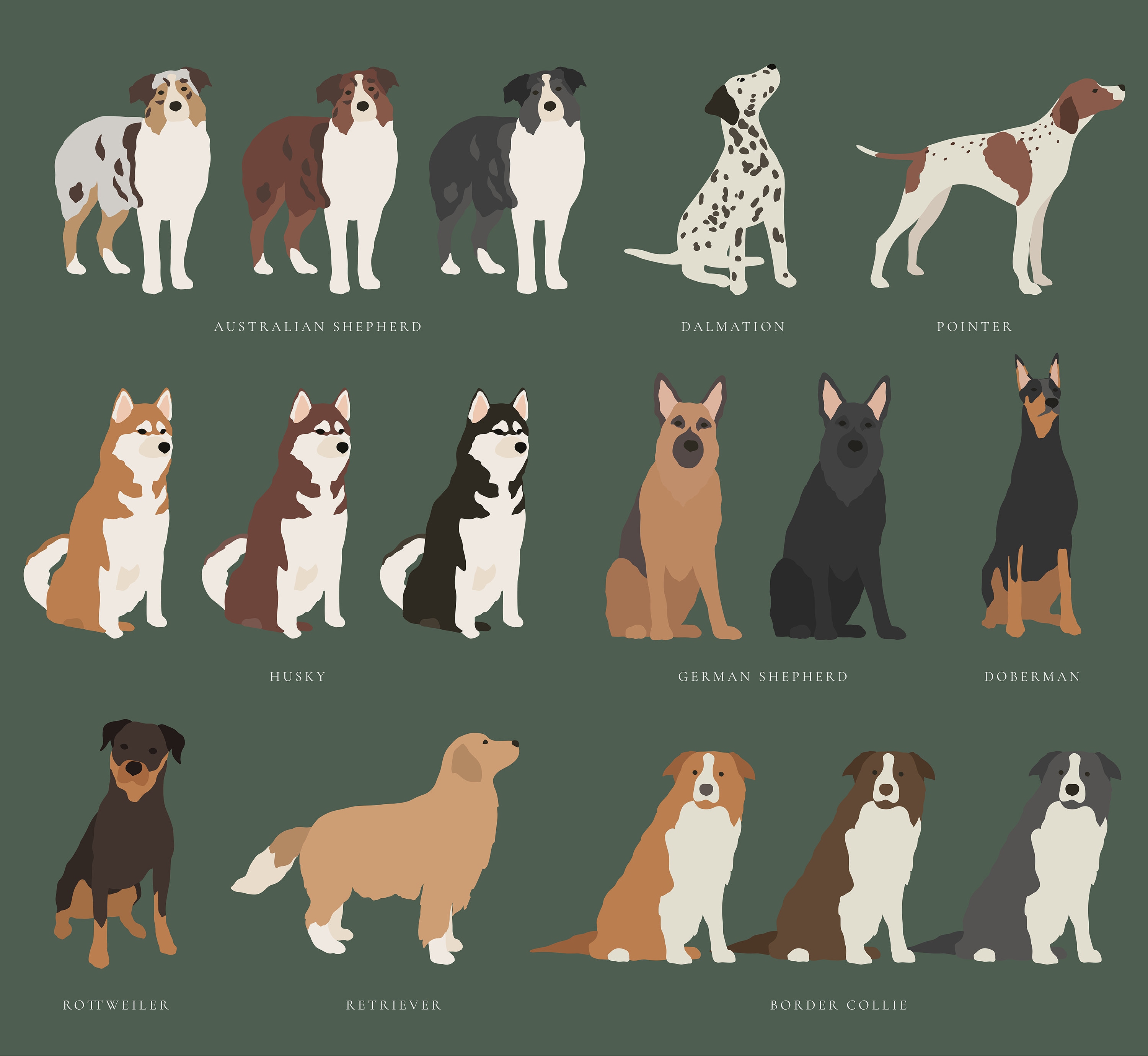 Dog Clipart Set - Hand Drawn Dog Breeds - Small, Medium and Large Dogs ...