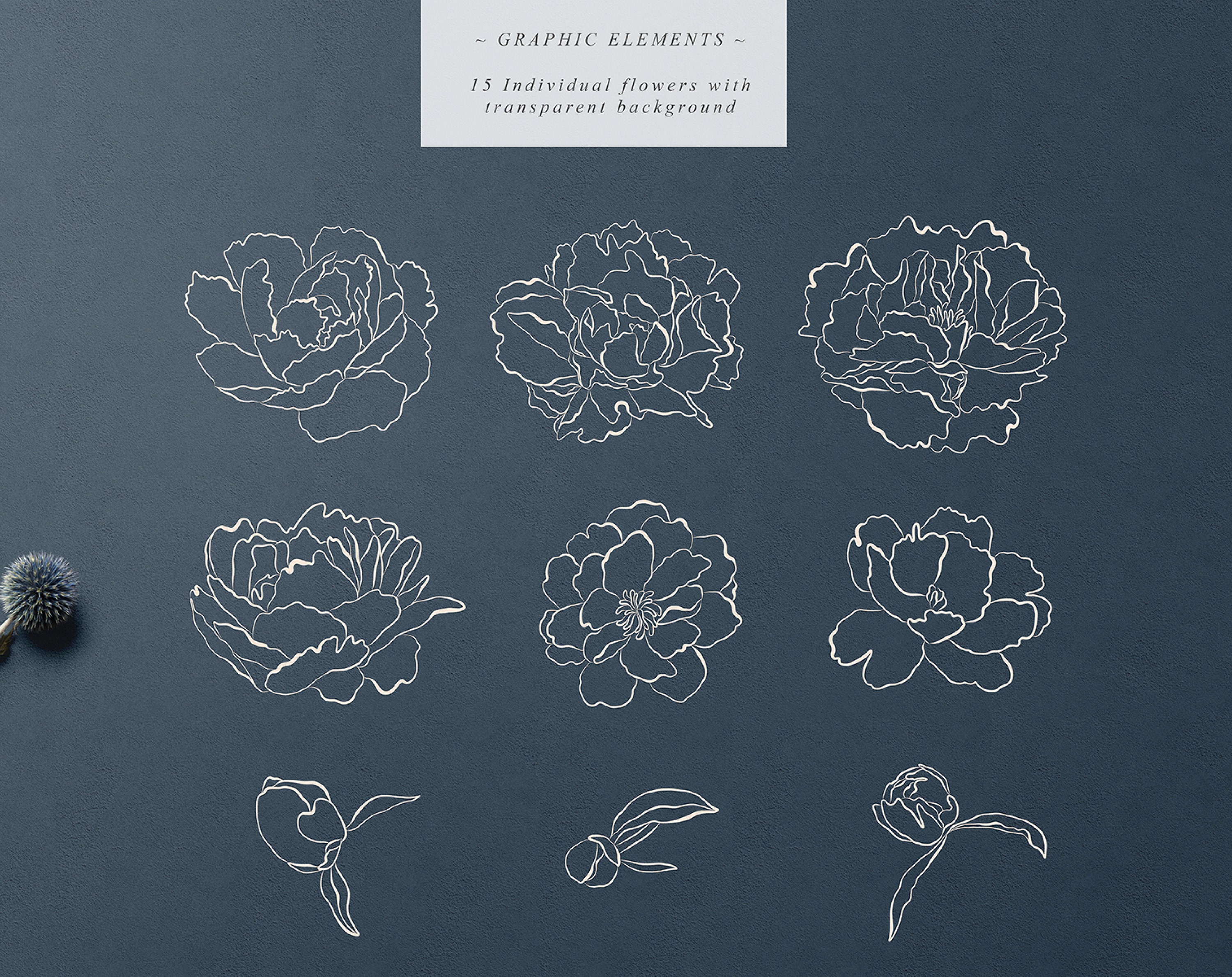 Modern Flowers Botanical Line Art Floral Clip Art Vector - Etsy