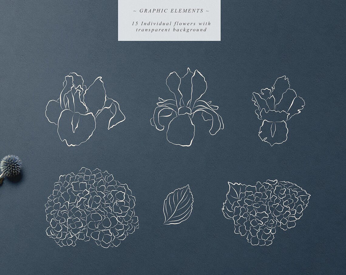 Modern Flowers Botanical Line Art Floral Clip Art Vector - Etsy