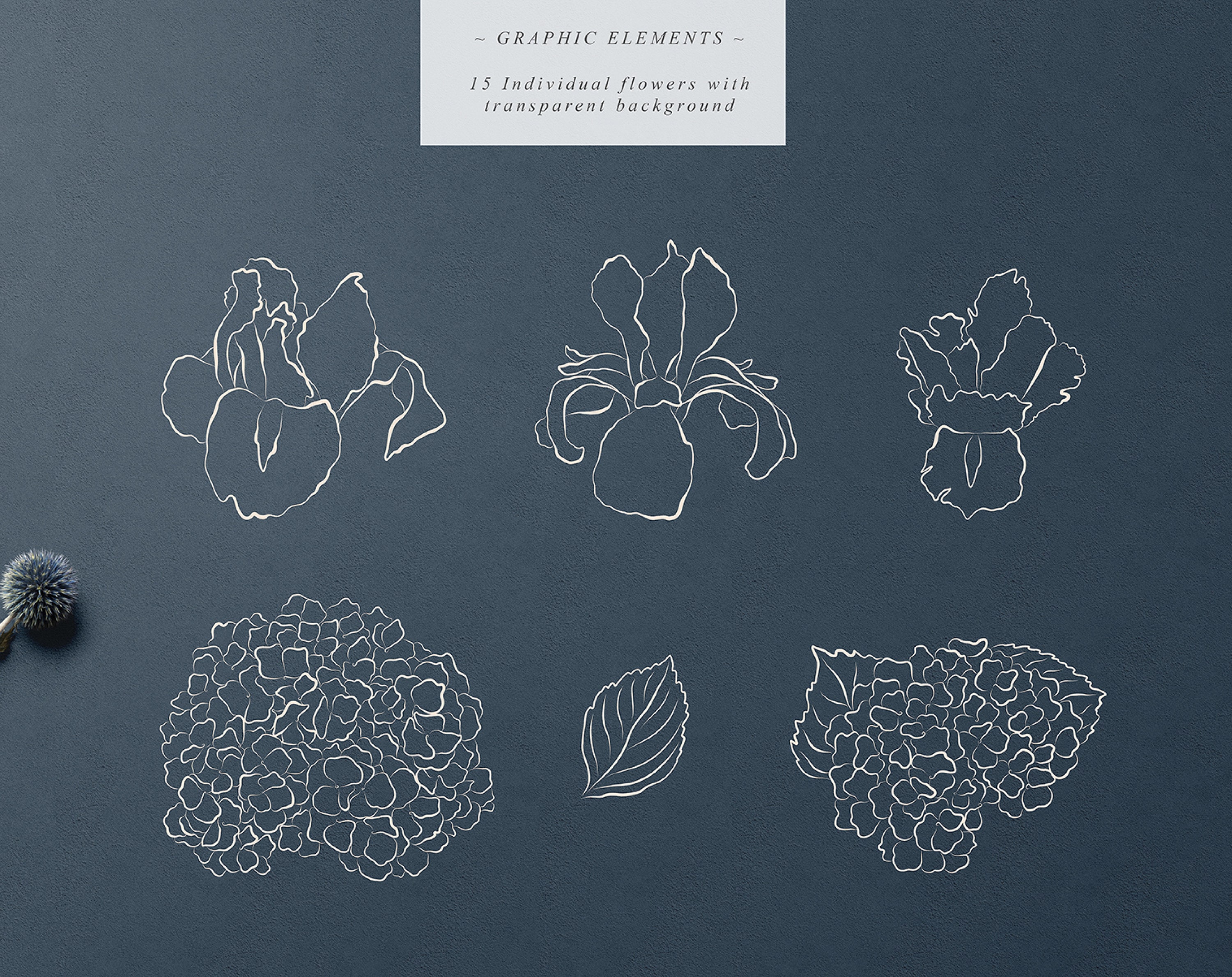 Modern Flowers - Botanical Line Art - Floral Clip Art - Vector Flower ...