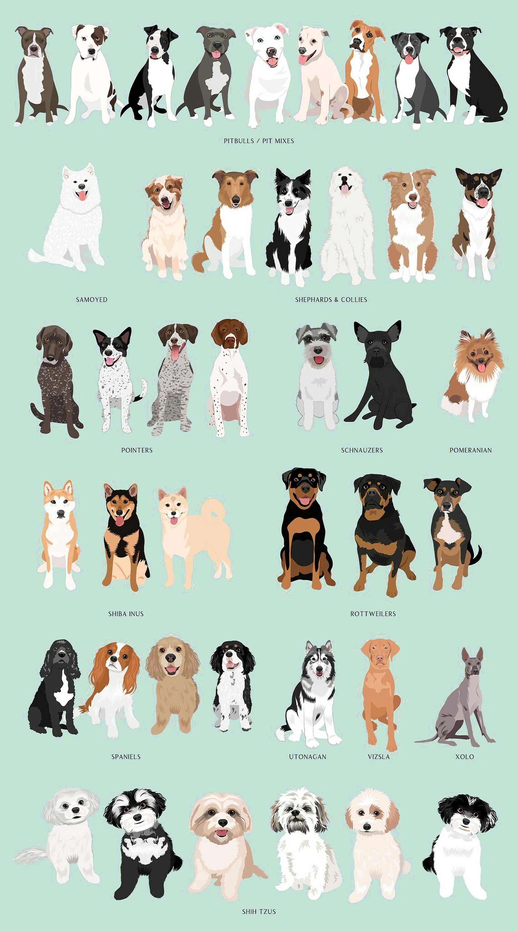 Personalised Loved and Protected by Dogs 140 Dog Types - Etsy Australia