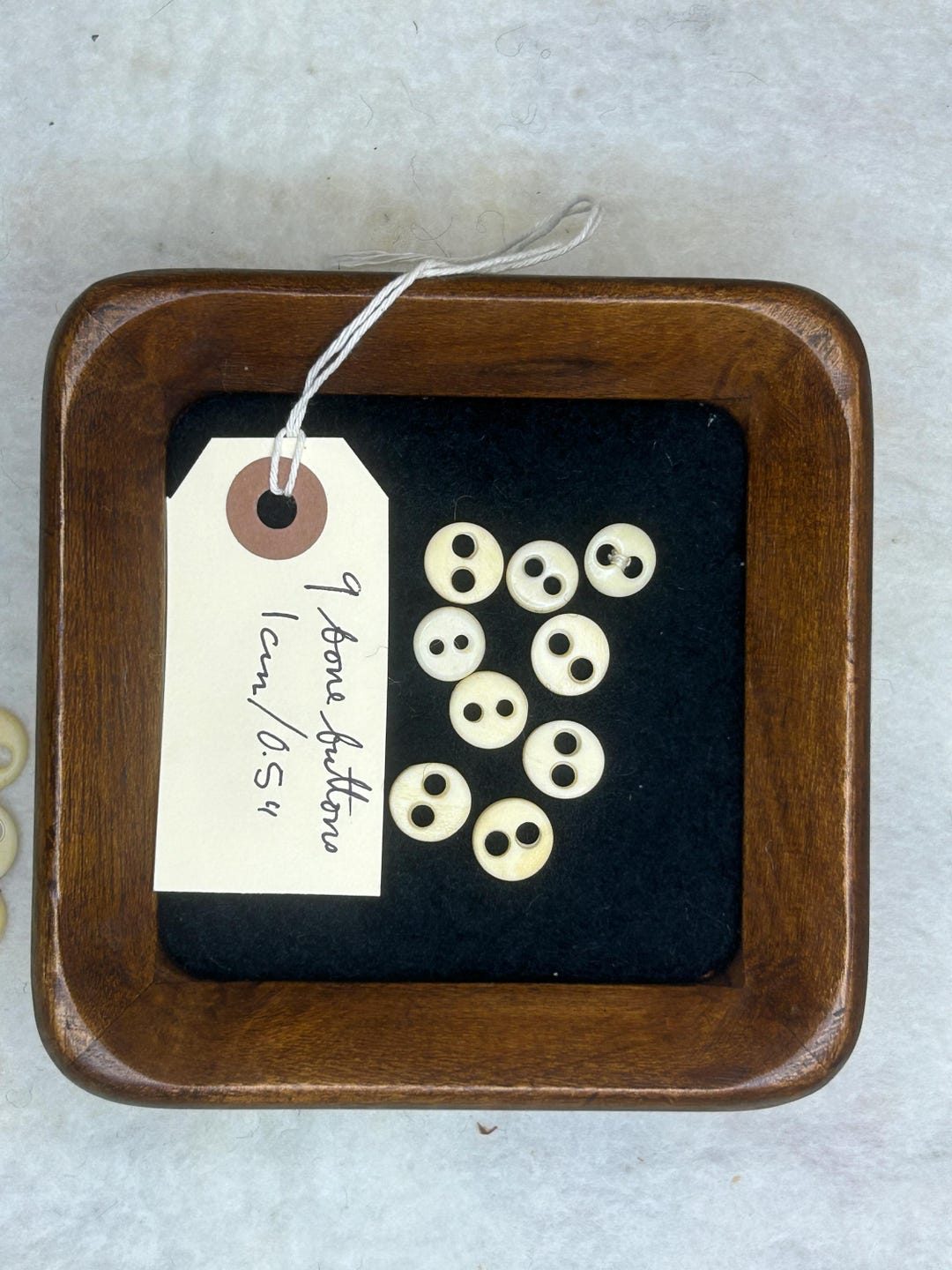 Set of Nine (9) Hand-carved Bone Buttons, Small, Off-white, Antique ...