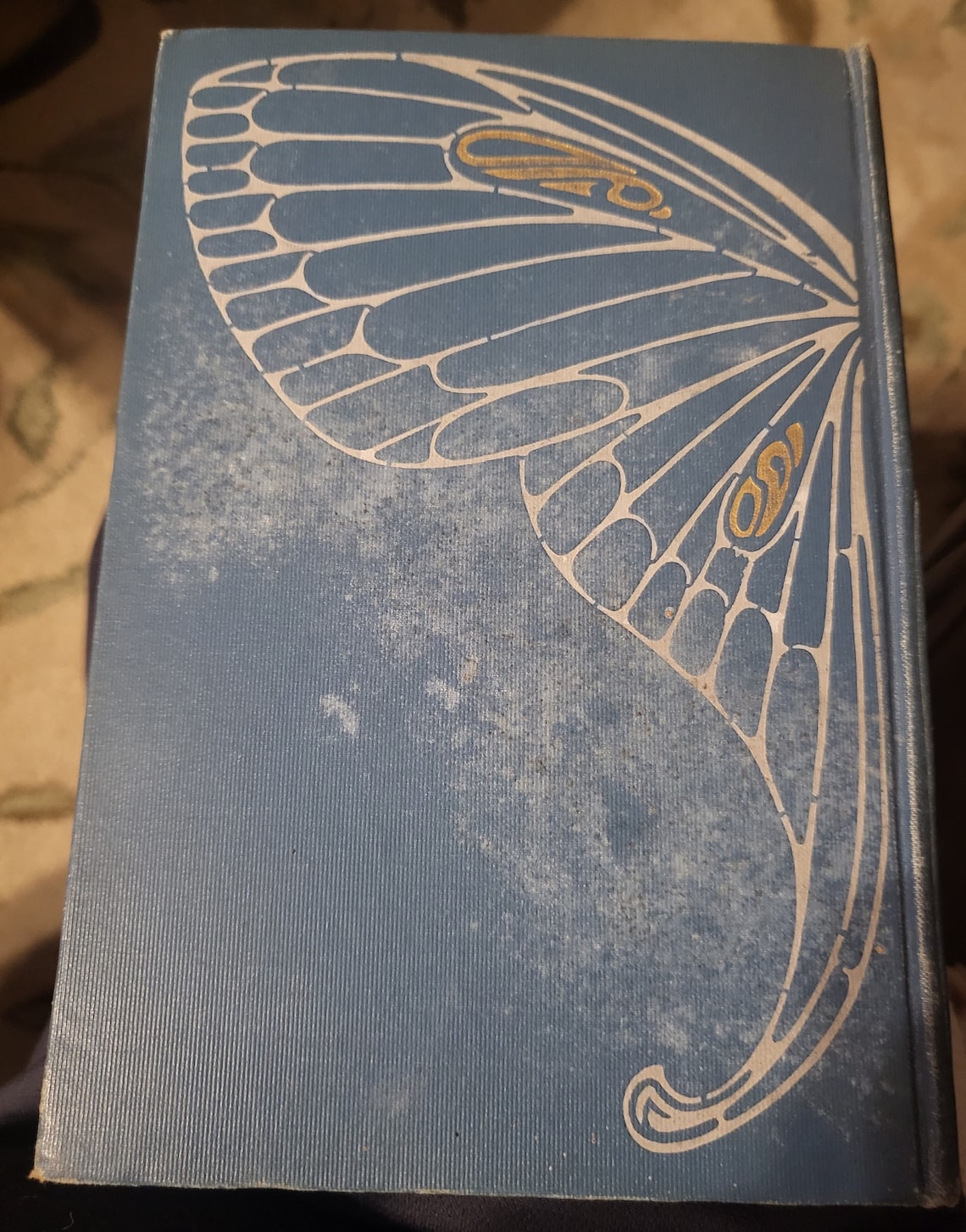 The Flight of A Moth by Emily Post First Edition 1904 - Etsy
