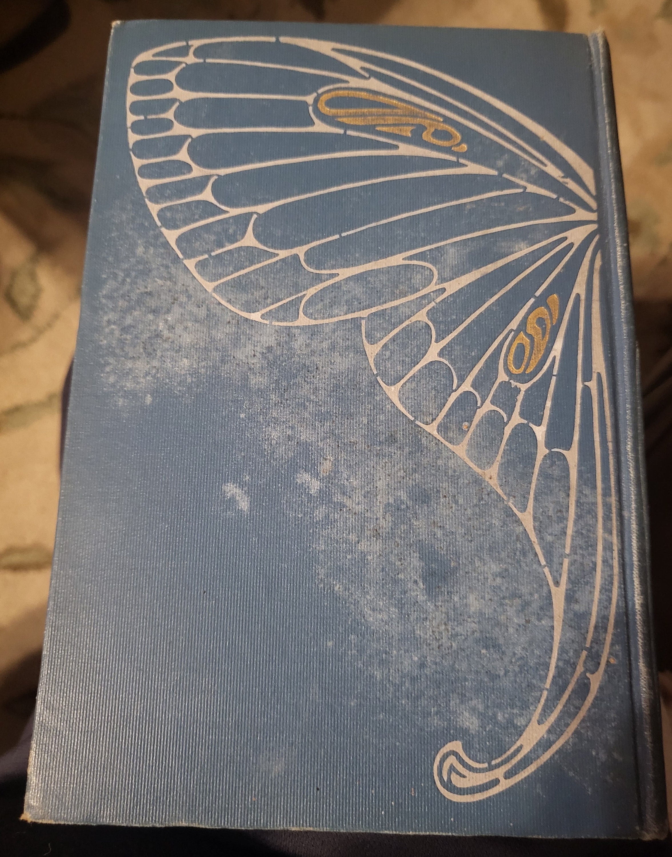 The Flight of A Moth by Emily Post First Edition 1904 - Etsy
