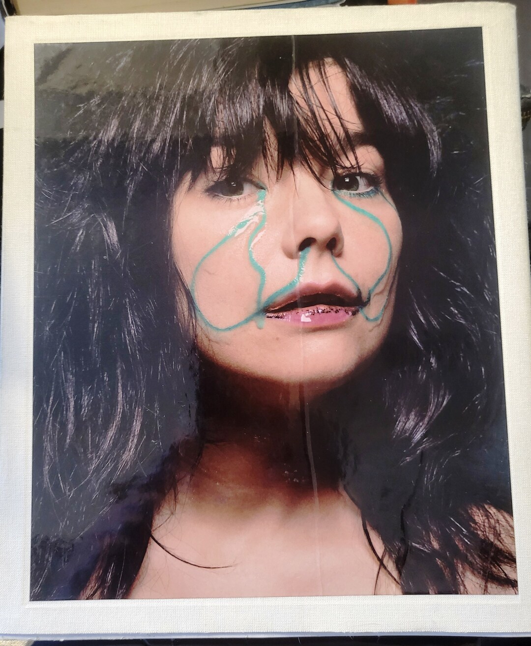 Bjork First US Edition / First Printing - Etsy
