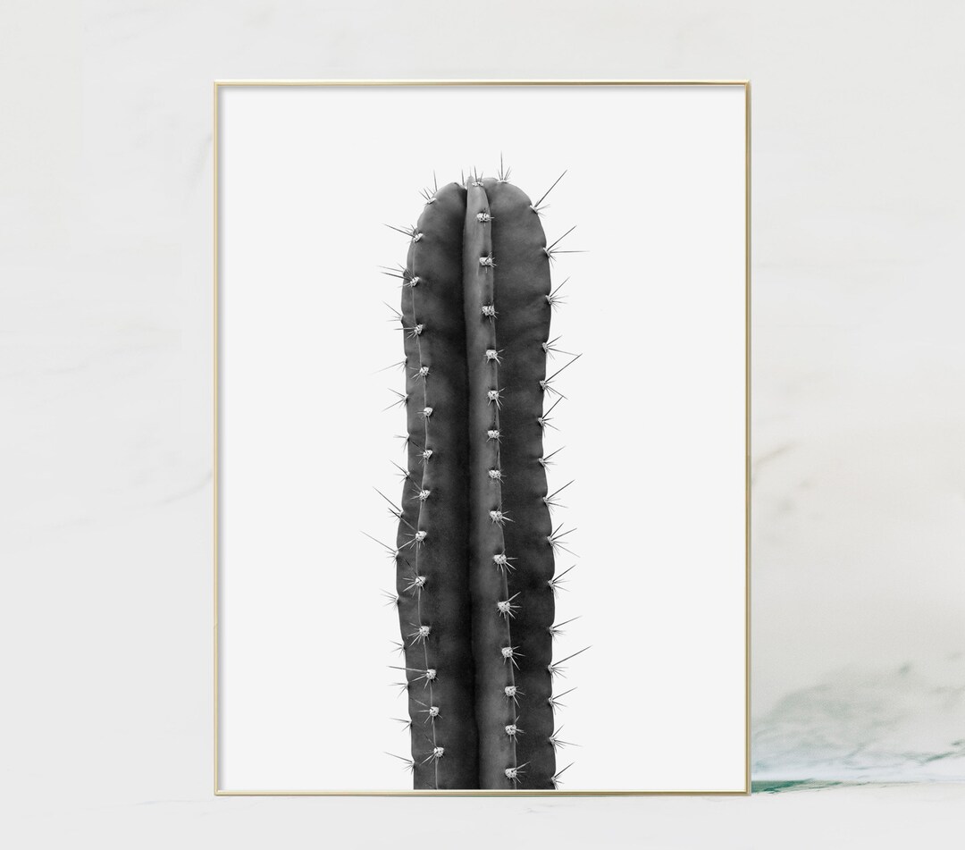 Printable Black and White Cactus Botanical Minimalist Print - Etsy
