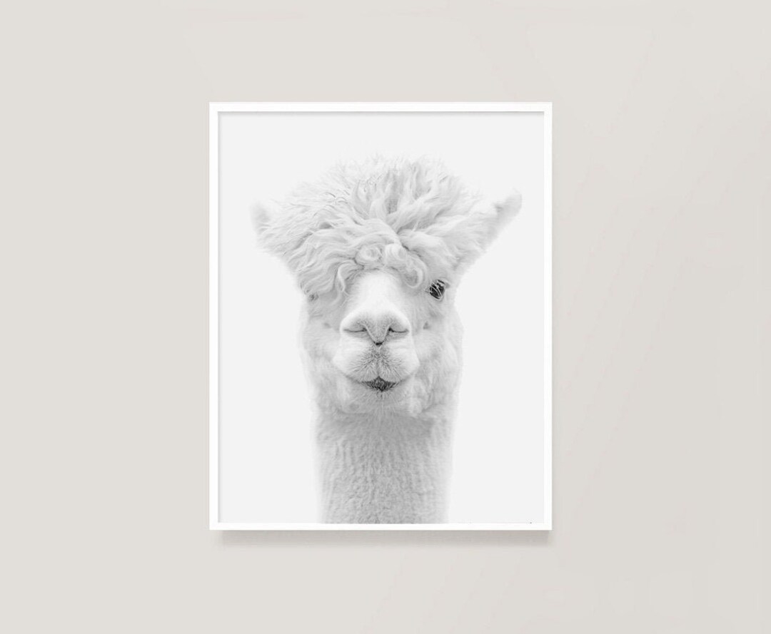 Alpaca Print Animal Print Printable Alpaca Kids Wall Art - Etsy