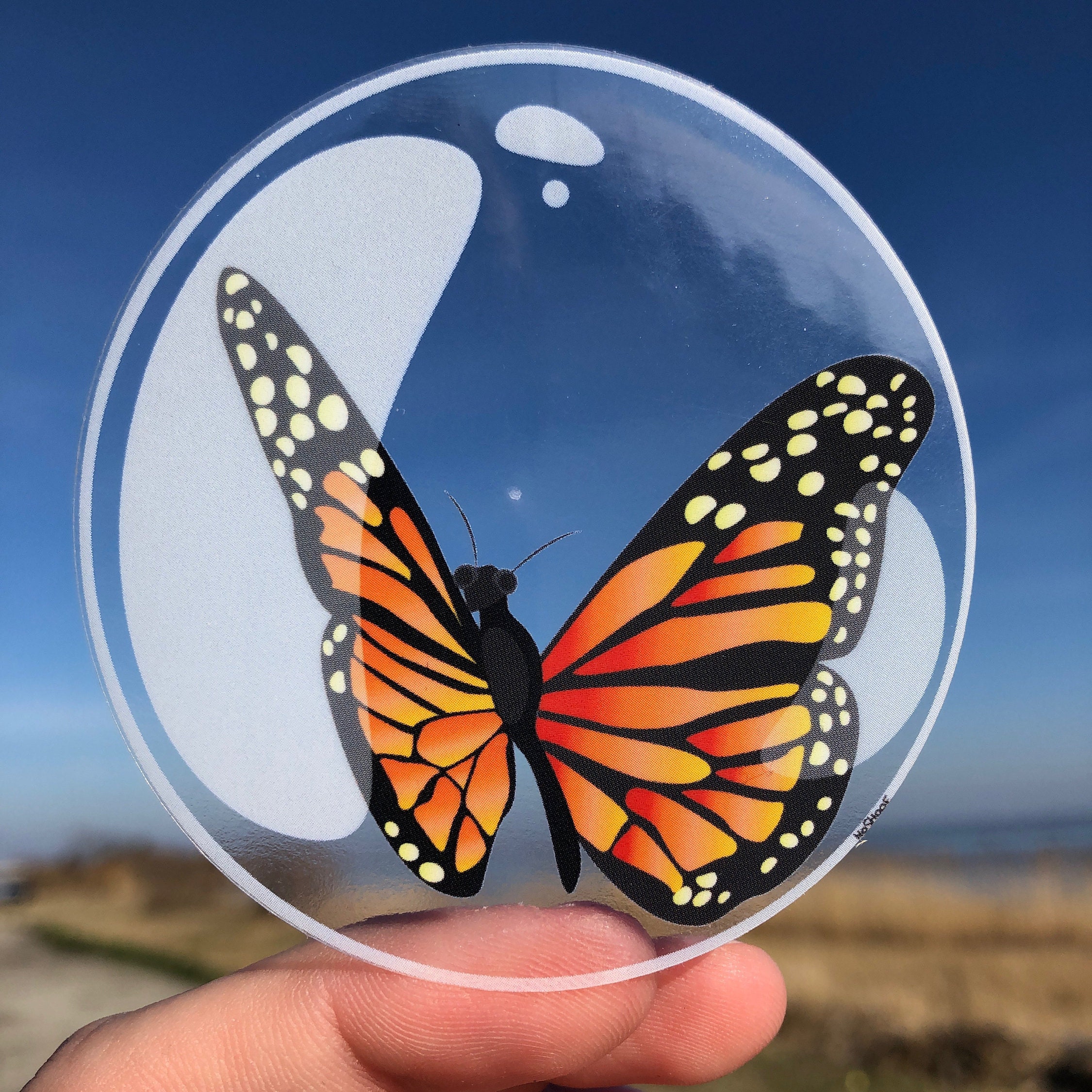 Spongebob Wormy Butterfly Face