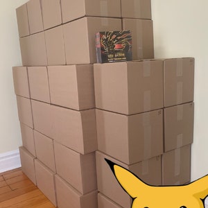Pokémon Value Mystery Box Level 1 Trainer New Listing June 2023 Etsy