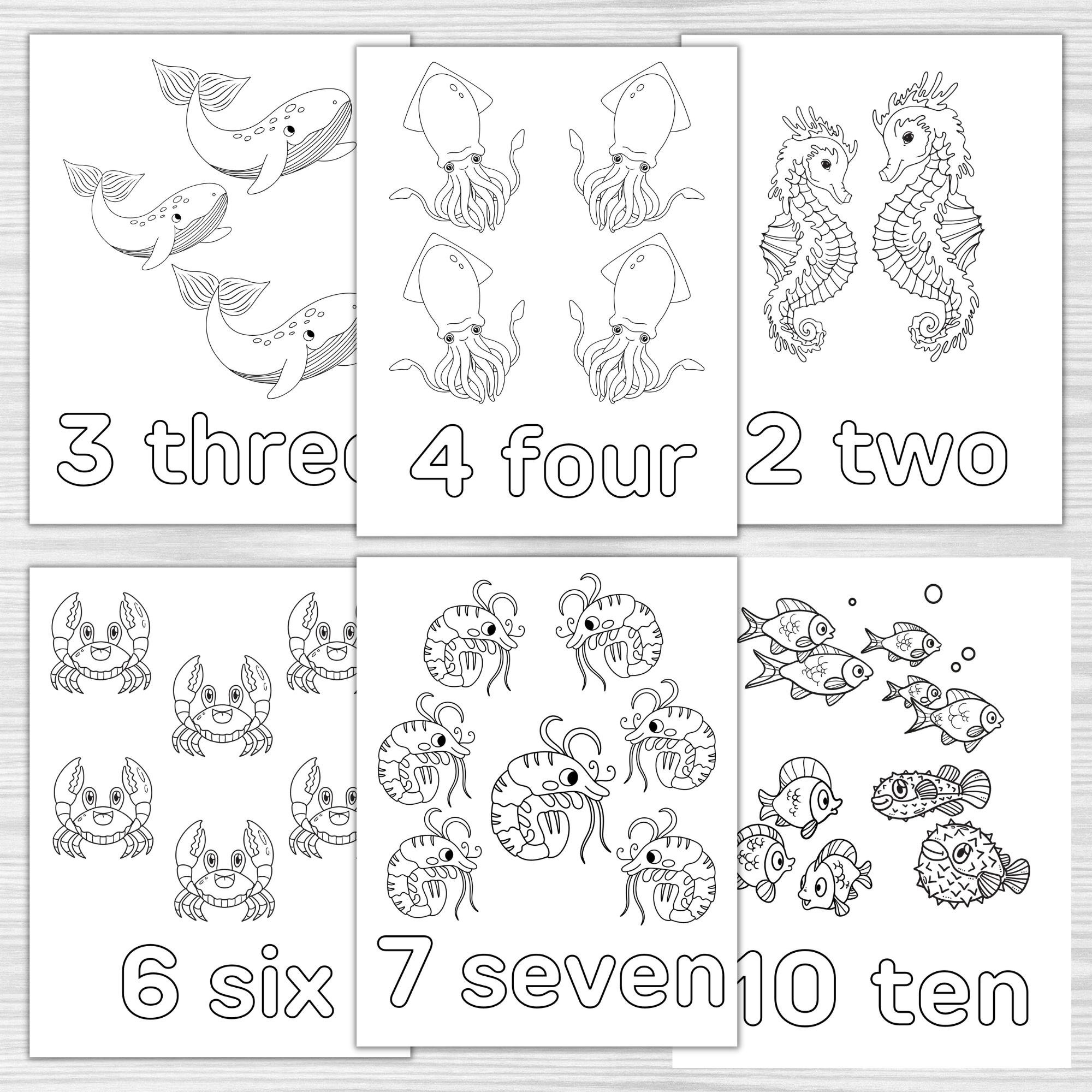 10 Numbers Coloring Printable Flashcards Pages Bundle for Kids - Etsy