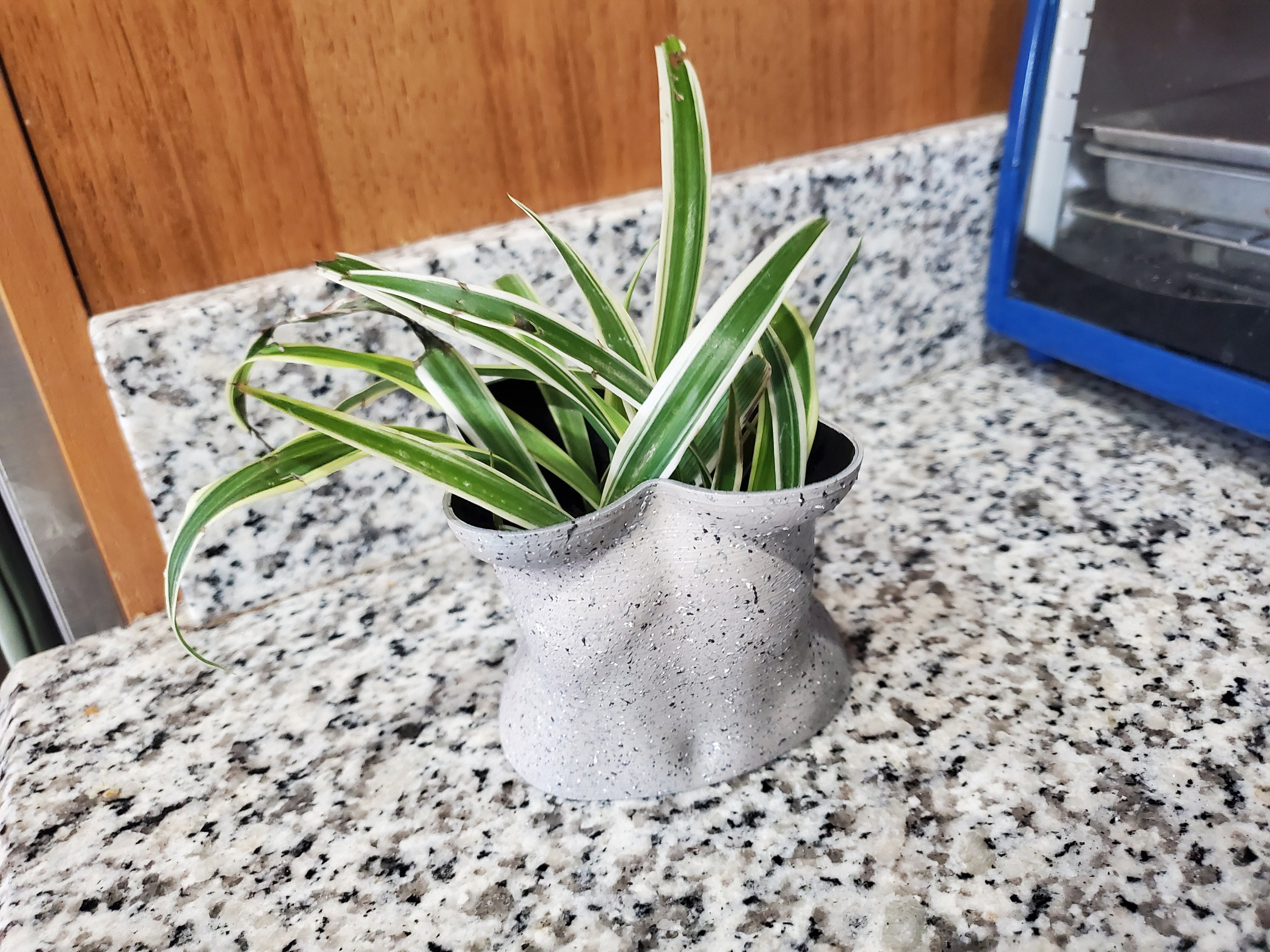 Beautiful Female / Male Torso Planters - Etsy