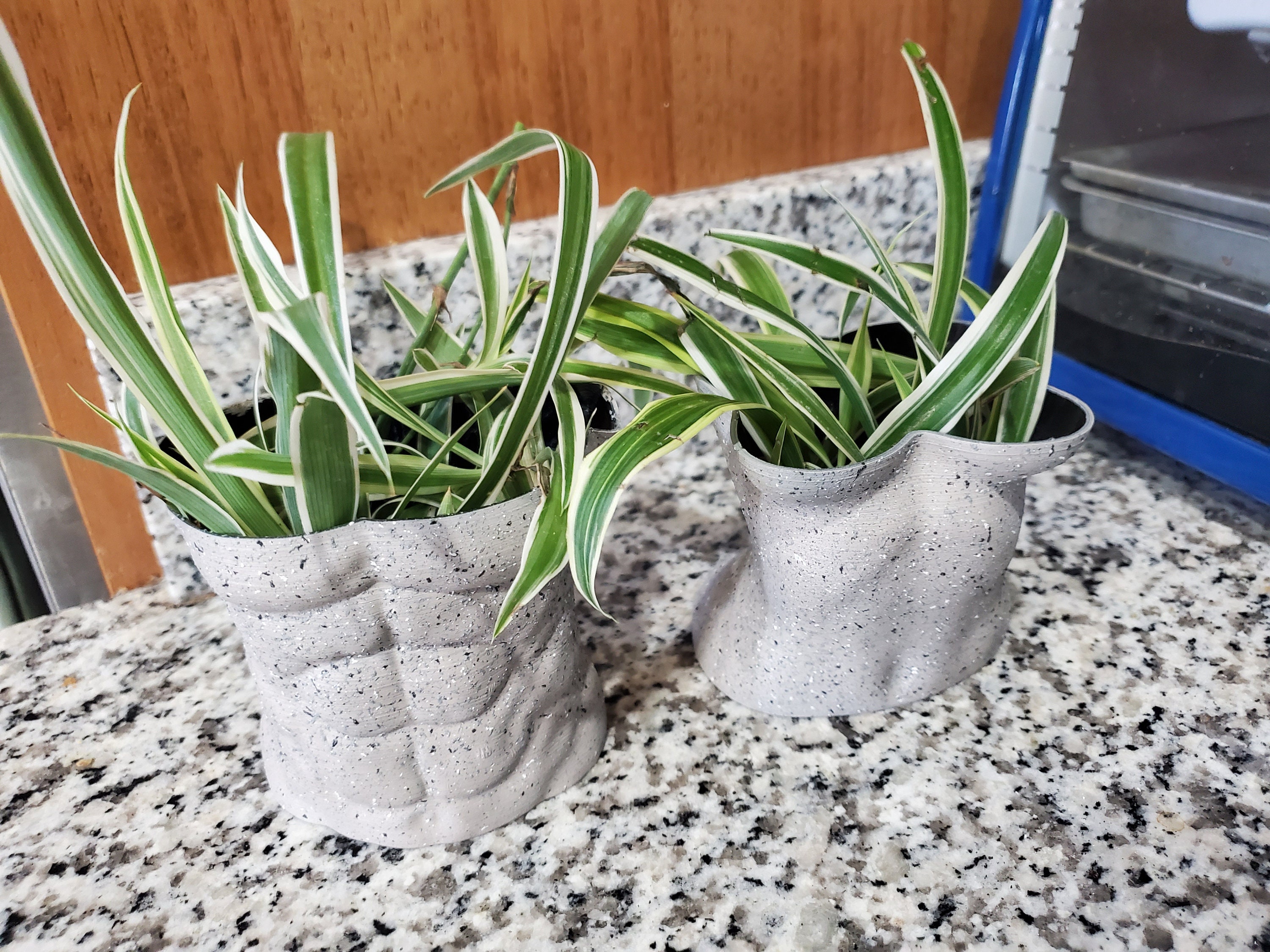 Beautiful Female / Male Torso Planters - Etsy