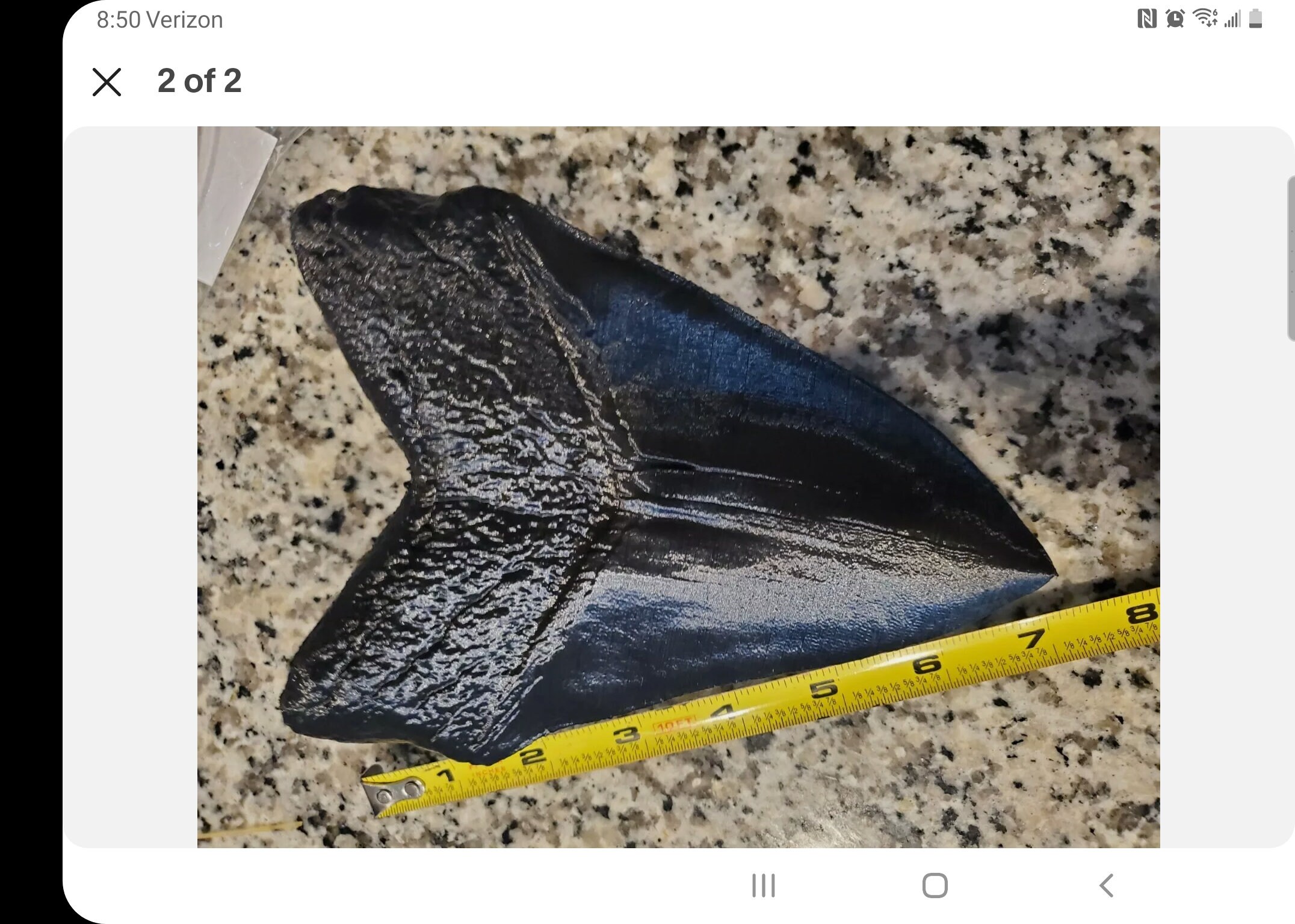 7 Inch Megalodon Tooth Replica 3d Printed - Etsy