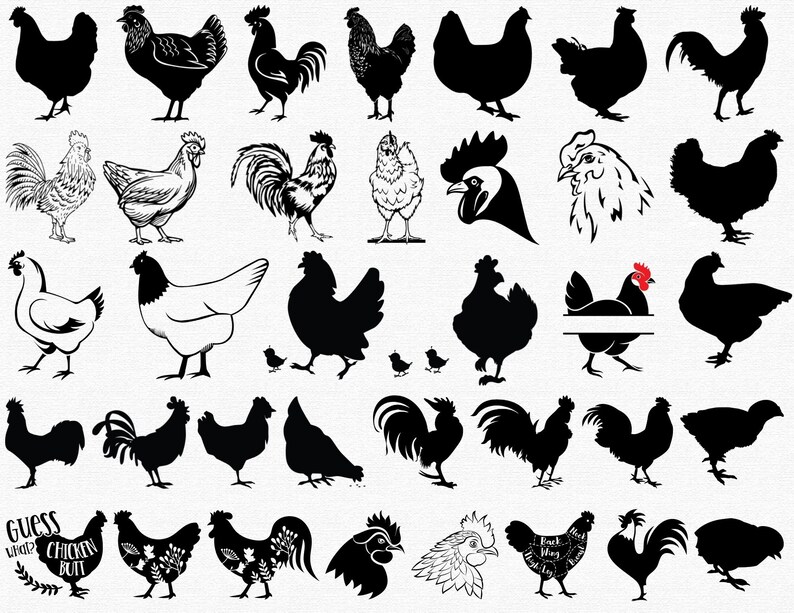 Chicken Svg Bundle Chicken Png Chicken Clipart Silhouette - Etsy