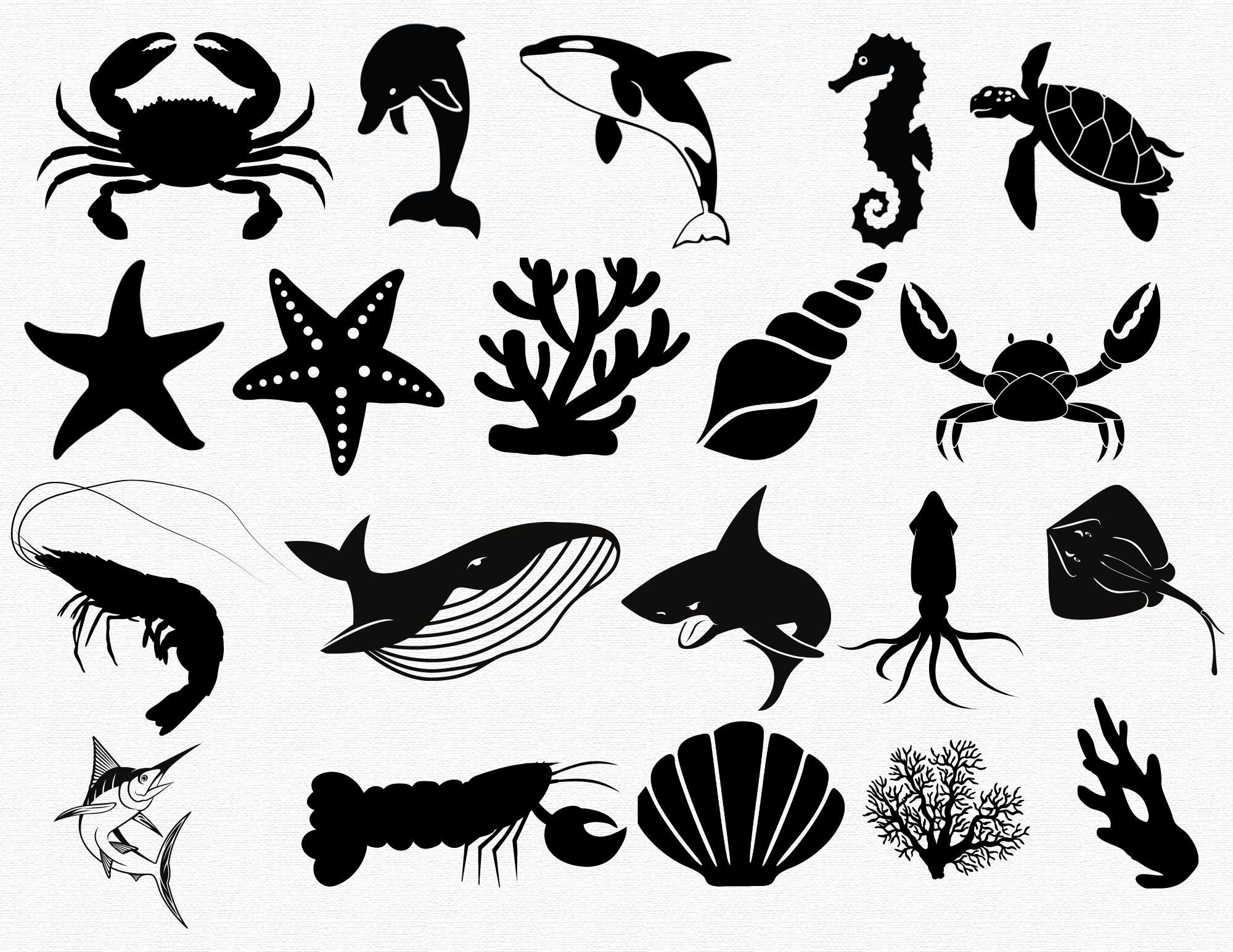 Ocean Animals Svg Sea Animals Svg Bundle Sea Life Svg - Etsy UK