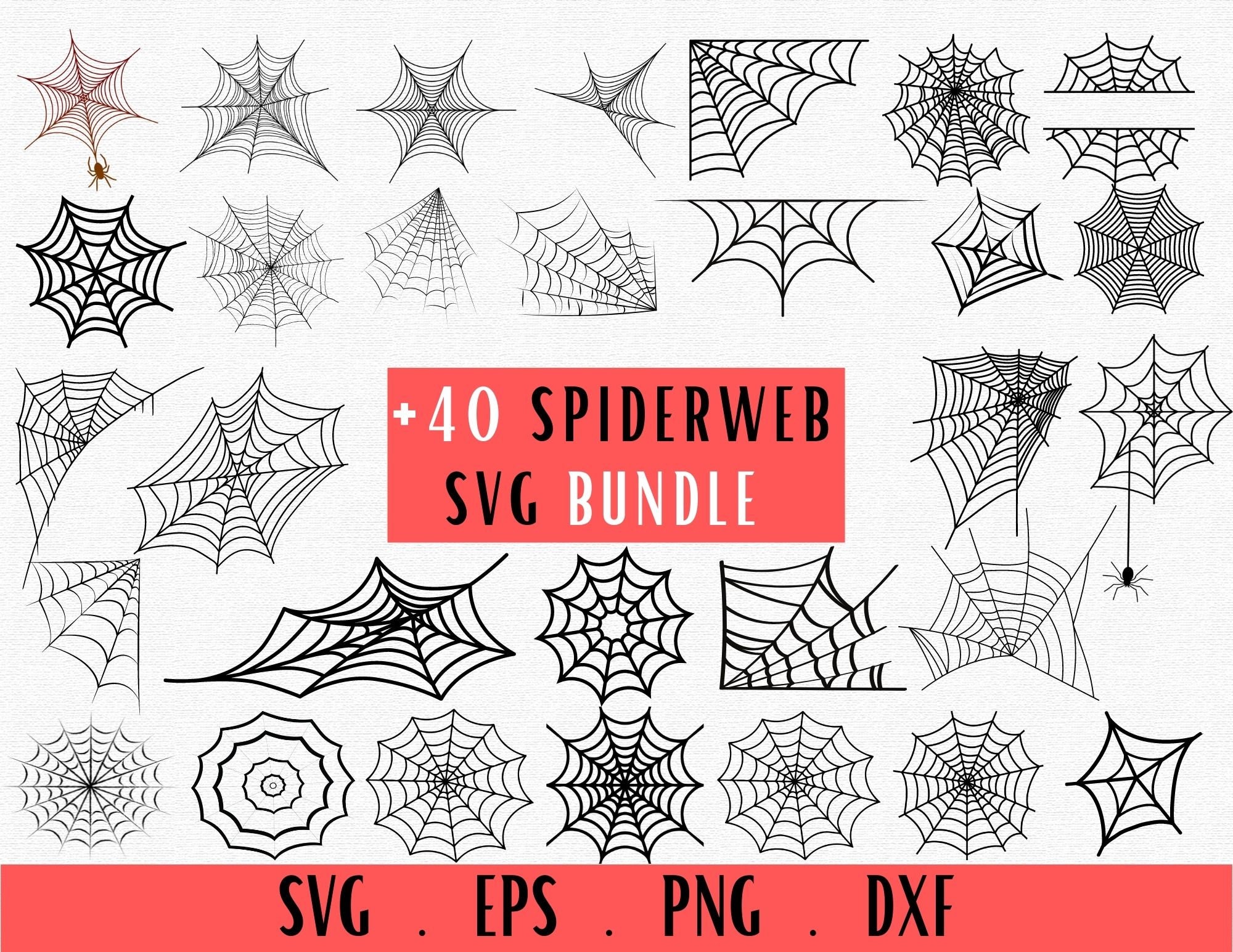 Spiderweb Svg Spider Svg Spiderweb Cricut - Etsy