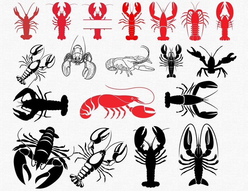 Crawfish Svg Crawfish Png Crawfish Boil Svg Crawfish - Etsy