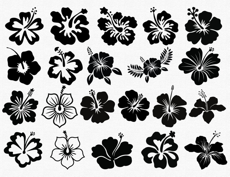 Hibiscus Svg HIBISCUS Png Cut Files Tropical Flower Svg - Etsy Canada