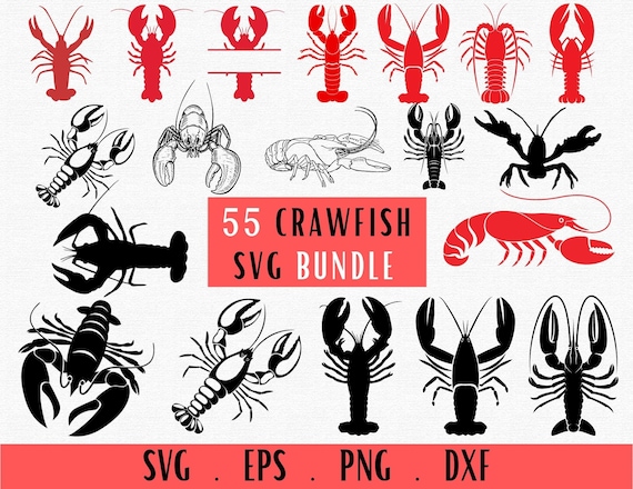 Crawfish Svg Crawfish Png Crawfish Boil Svg Crawfish - Etsy