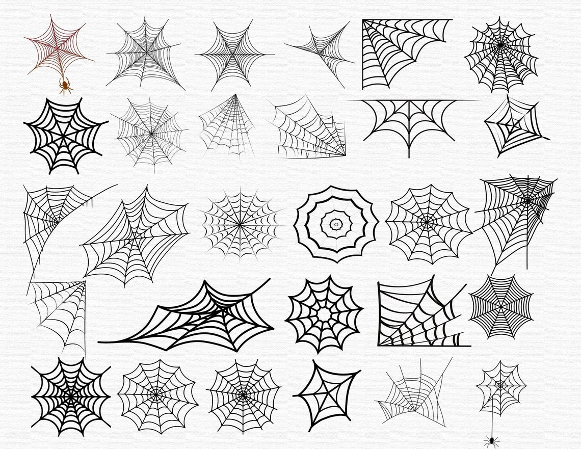 Spiderweb Svg Spider Svg Spiderweb Cricut - Etsy