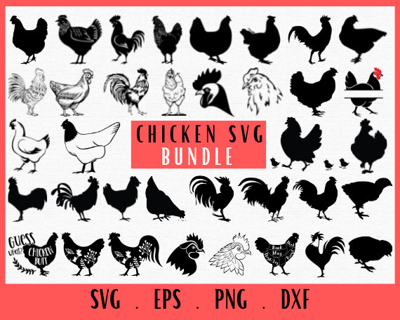 Chicken Svg Bundle Chicken Png Chicken Clipart Silhouette - Etsy