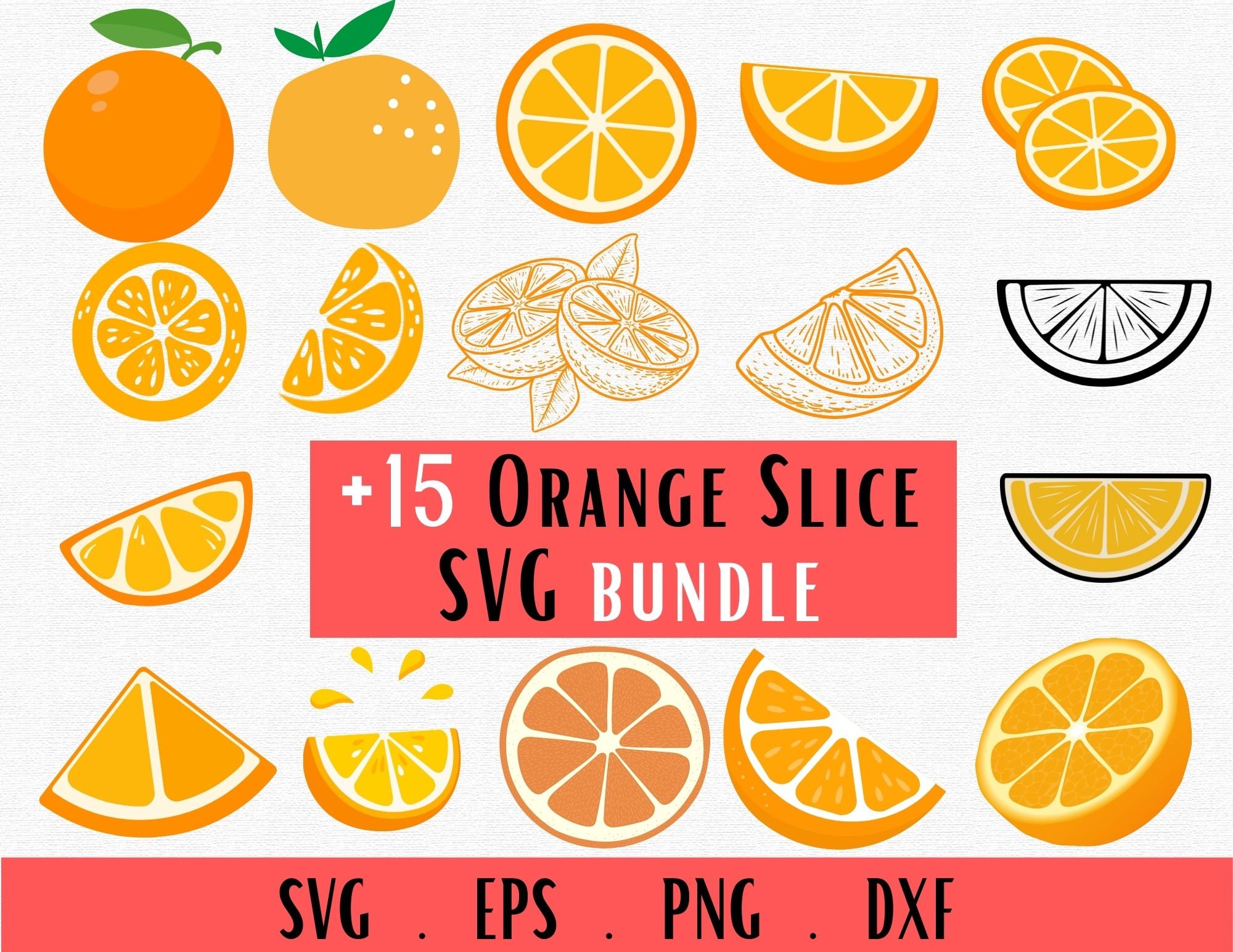 Orange Slice Svg Orange Fruit SVG Vector Mandarin Orange - Etsy