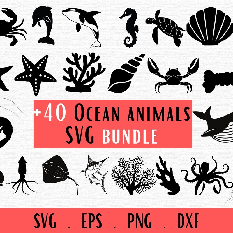 Ocean Animals Svg - Etsy