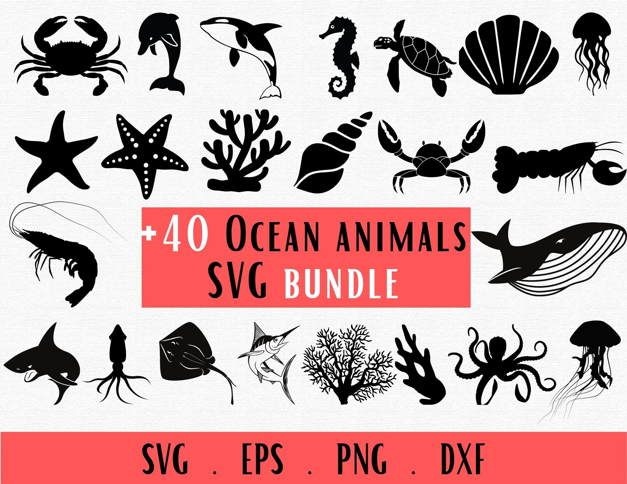 Ocean Animals Svg Sea Animals Svg Bundle Sea Life Svg - Etsy UK