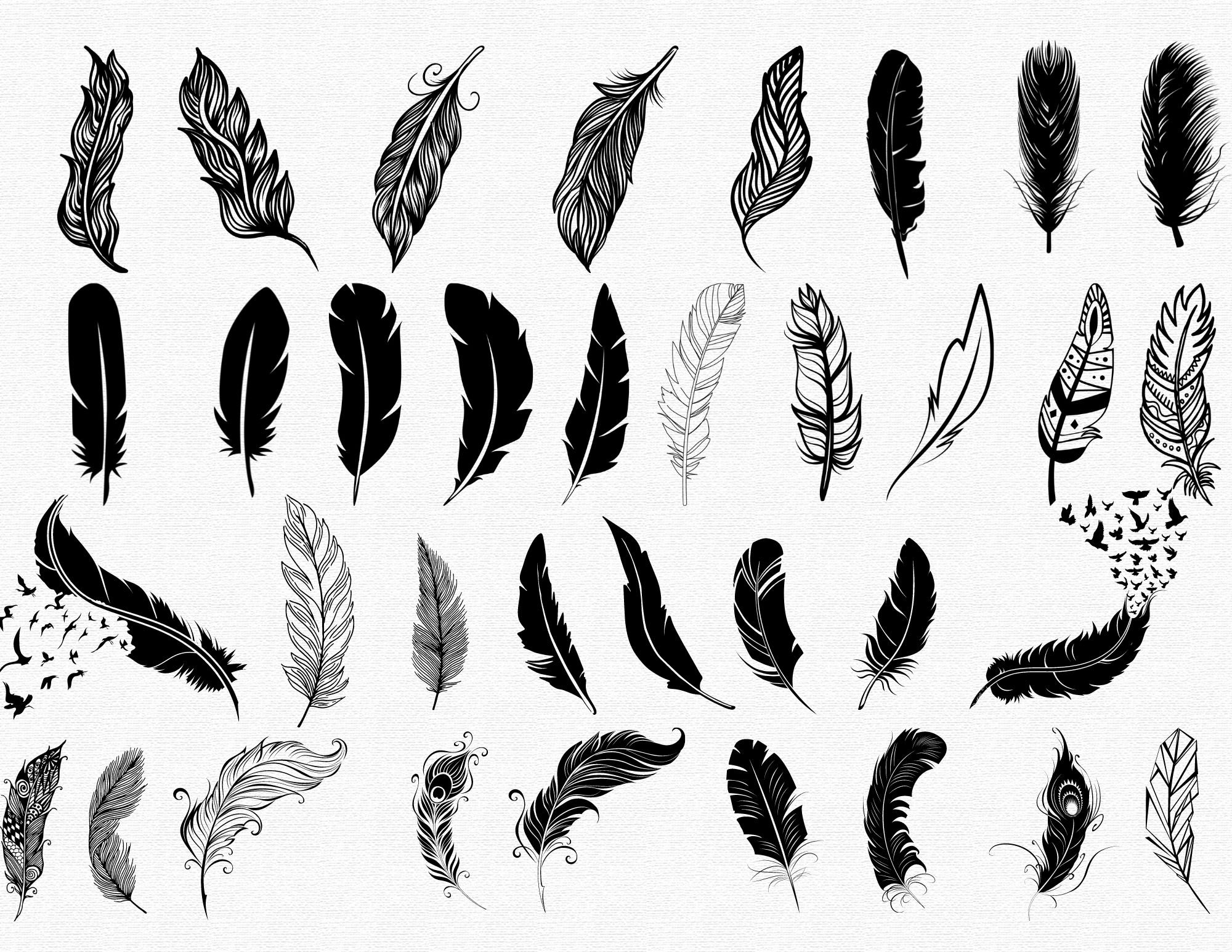 Feder SVG Feder Clipart Feder Silhouette Pfau svg Boho - Etsy Schweiz