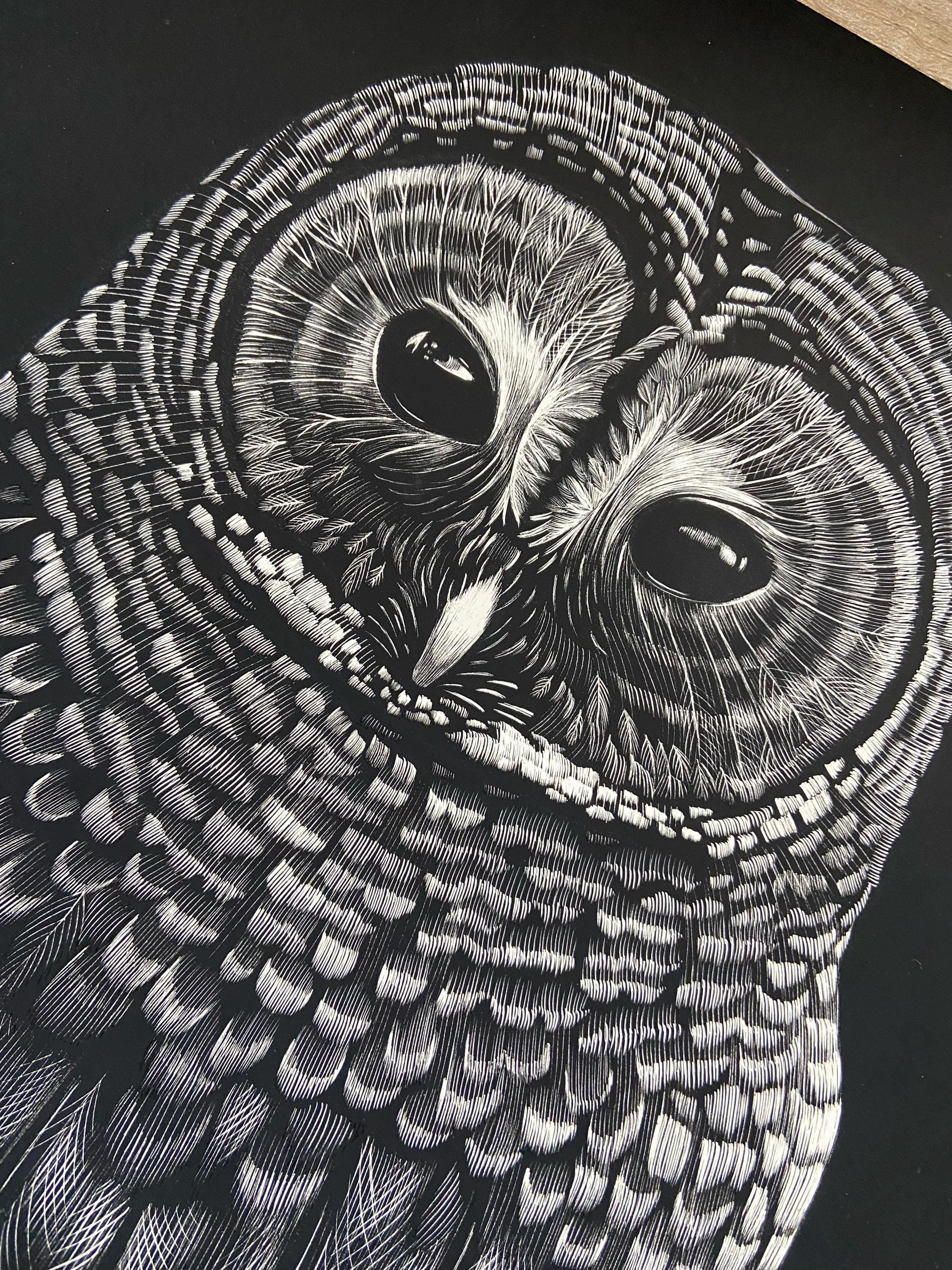 Barred Owl Scratchboard - Art Print - Etsy