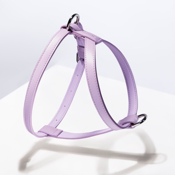 Purple Dog Harness - Etsy