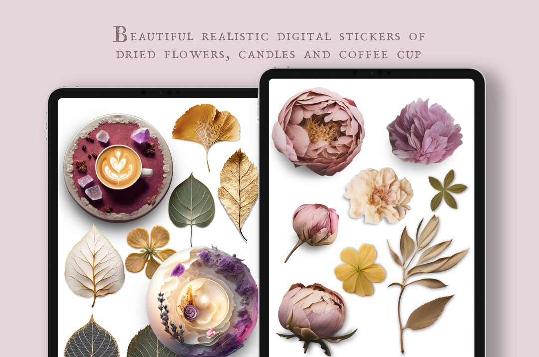 Pressed Flowers - Realistic Digital Stickers, PNG Und Goodnotes Datei ...