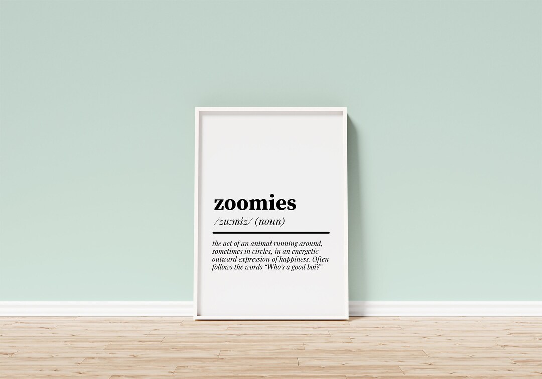 Definition Poster, Zoomies, Definition Wall Art, Gift for Pet Lovers ...