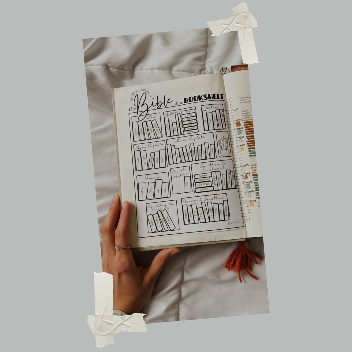 The Bible in a Bookshelf Bundle || Printable PDF - Etsy