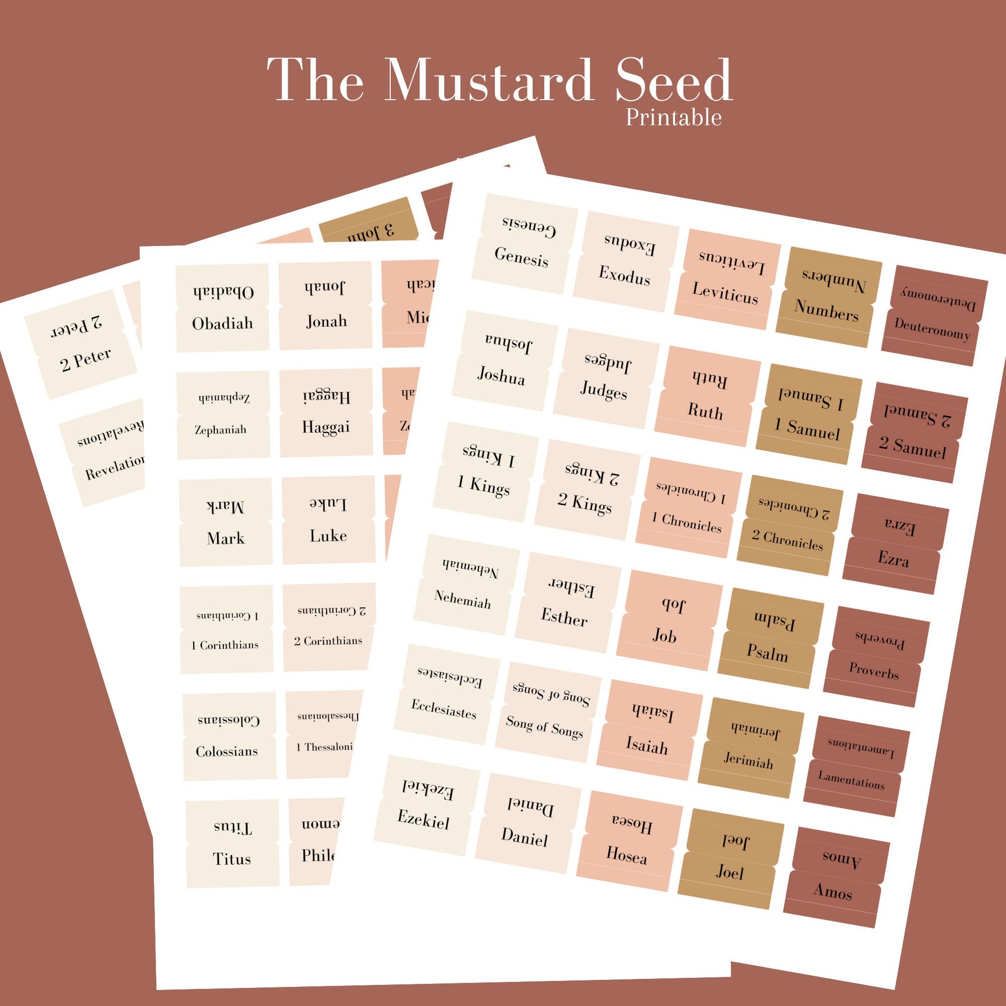 Printable Bible Tabs || the Mustard Seed || PDF Download || Tabs for ...
