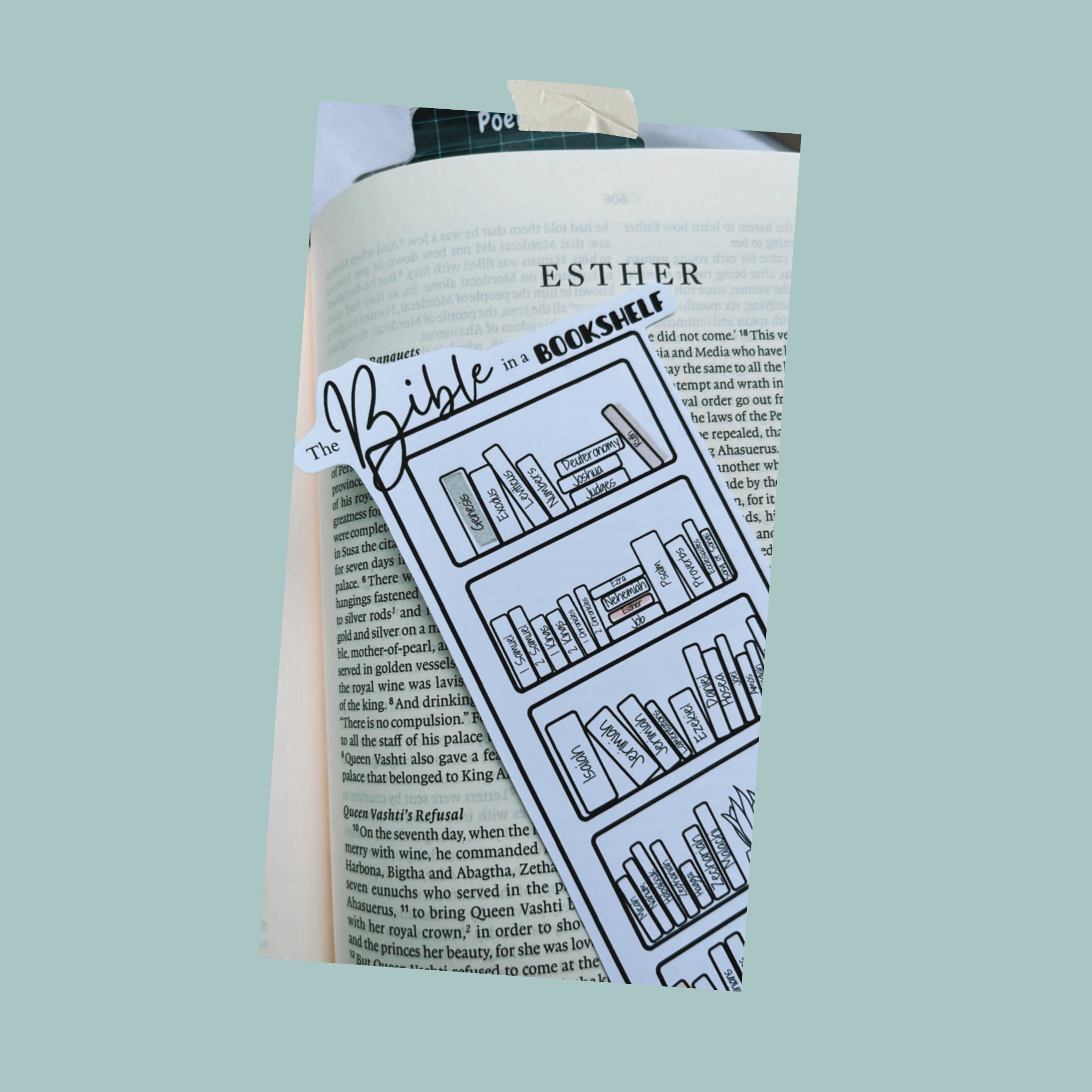 The Bible in a Bookshelf Bundle || Printable PDF - Etsy