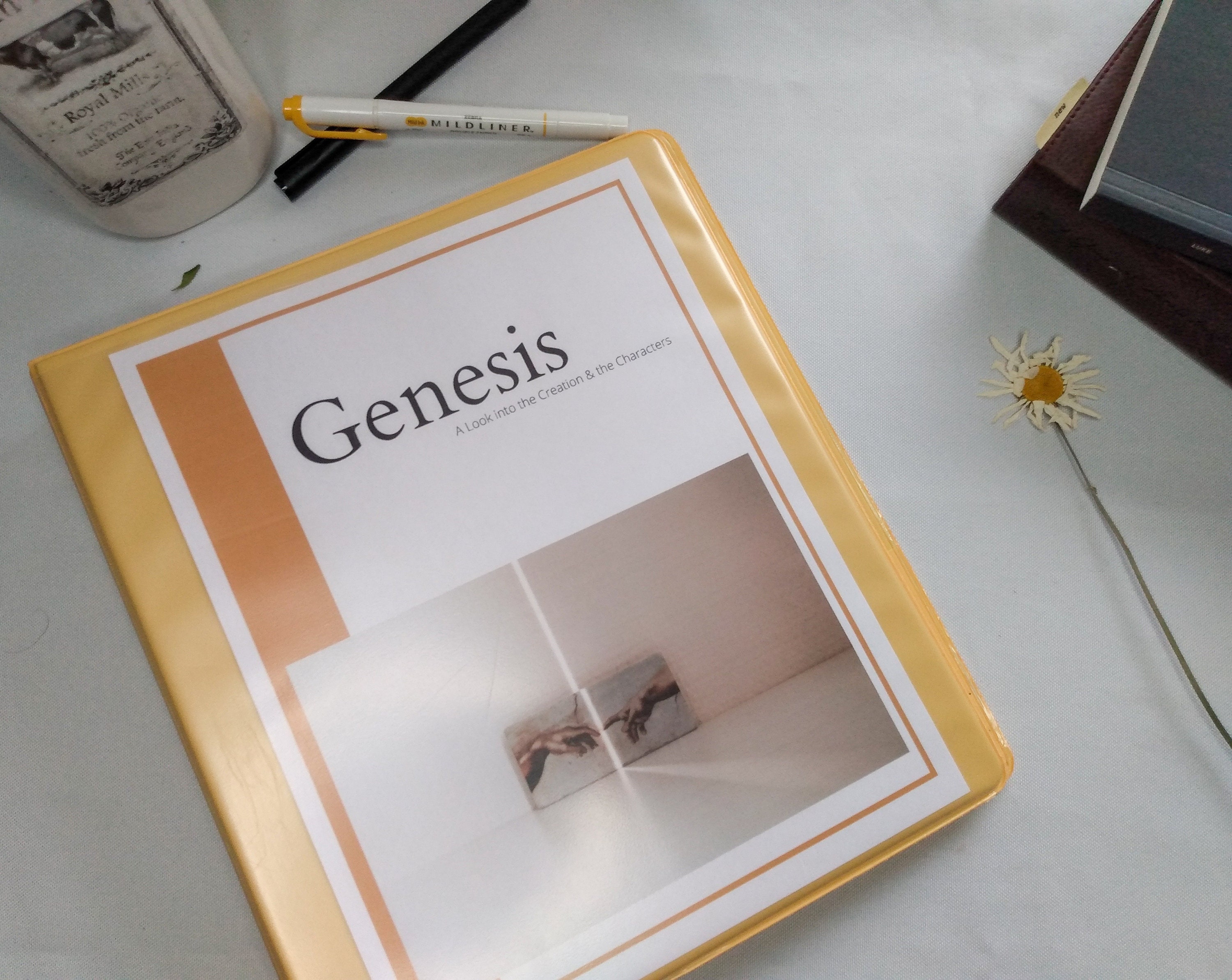 Printable Bible Study Genesis: A Look Into the Creation and - Etsy
