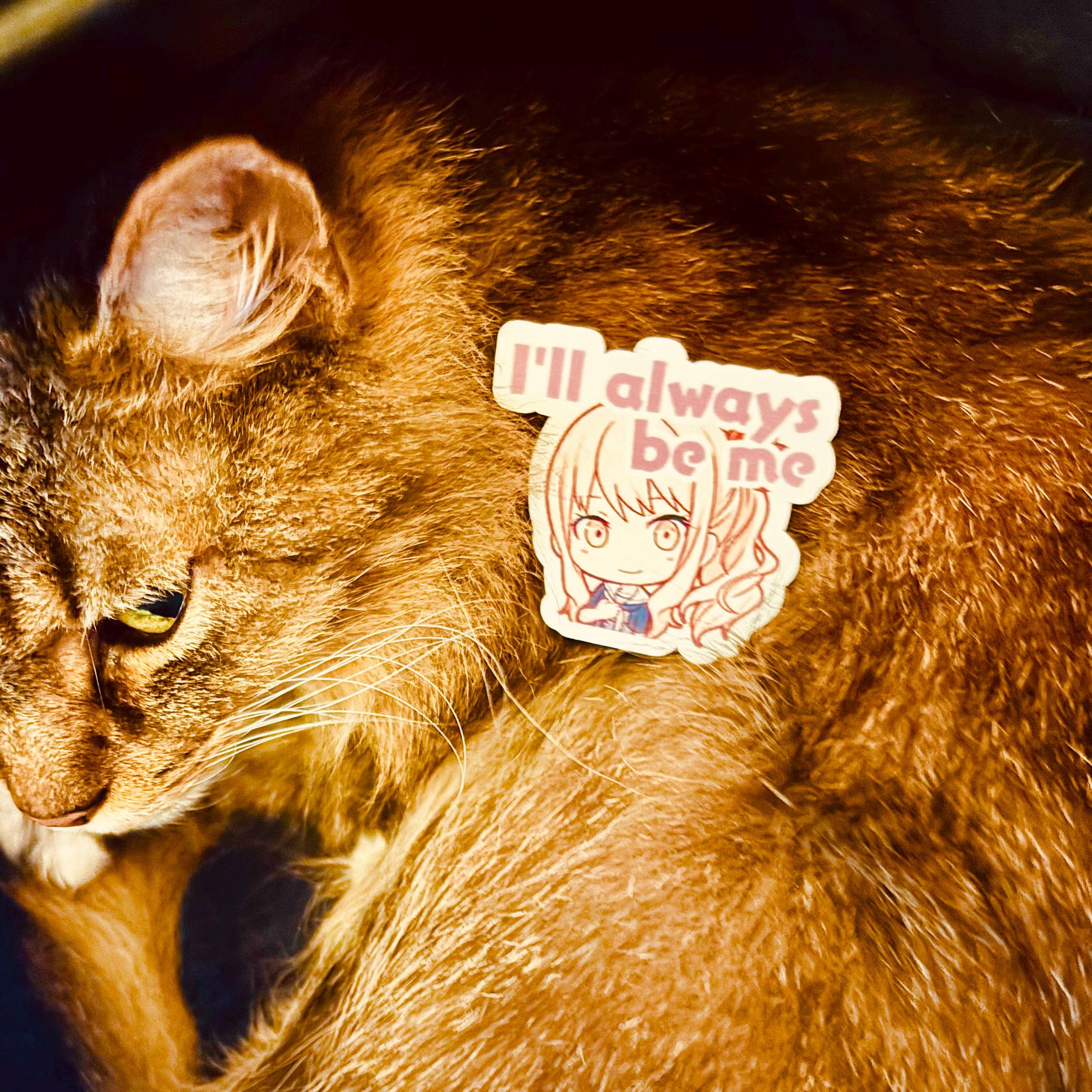 Project Sekai Colorful Stage Nightcord at 25:00 25ji Mizuki Akiyama ...