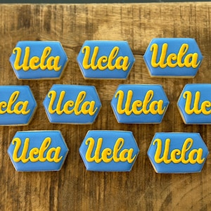 Mini University Themed Cookies / College Cookies / Graduation / Sugar ...