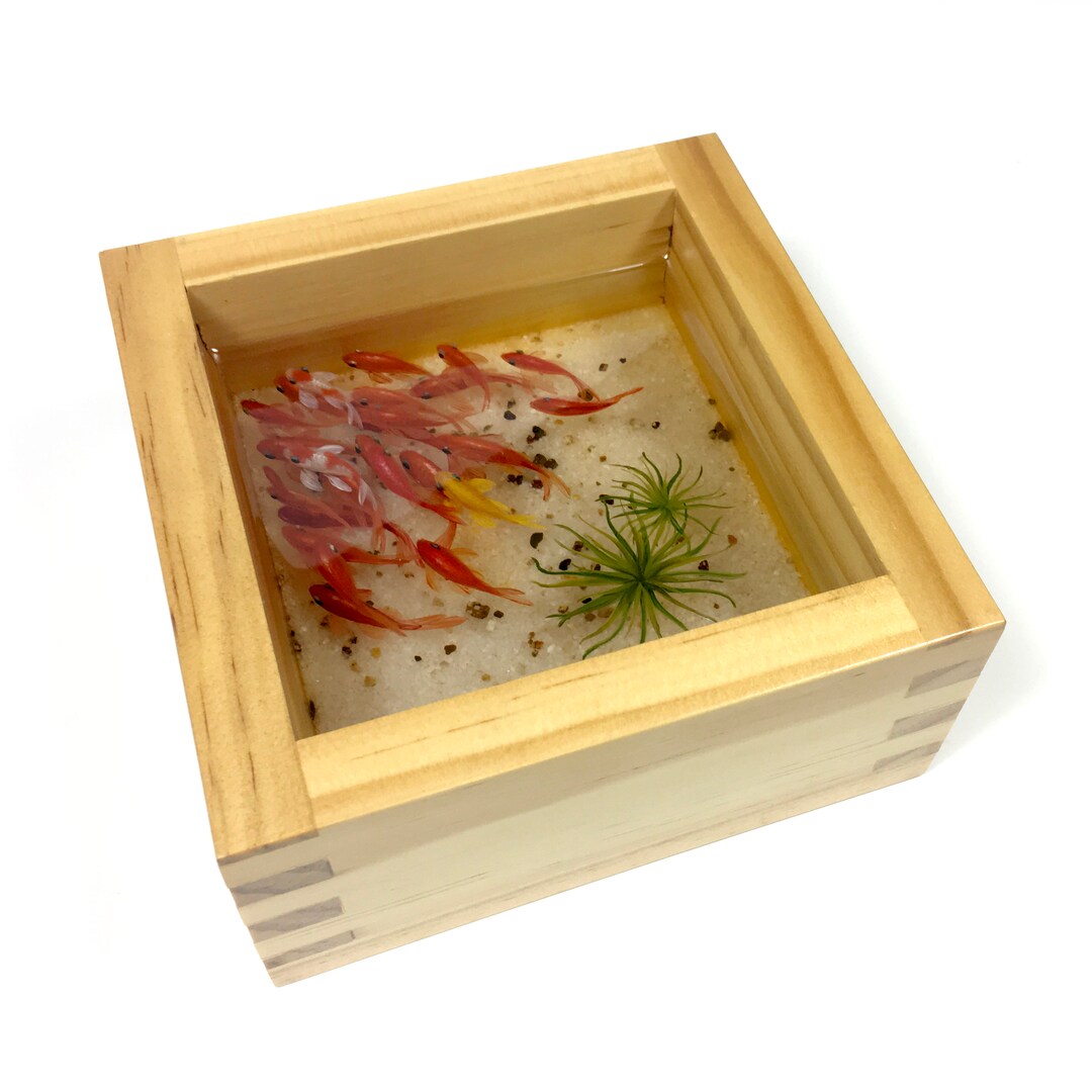 Wooden Box Group Fish Resin Painting, Painting Artwork,only This One ...