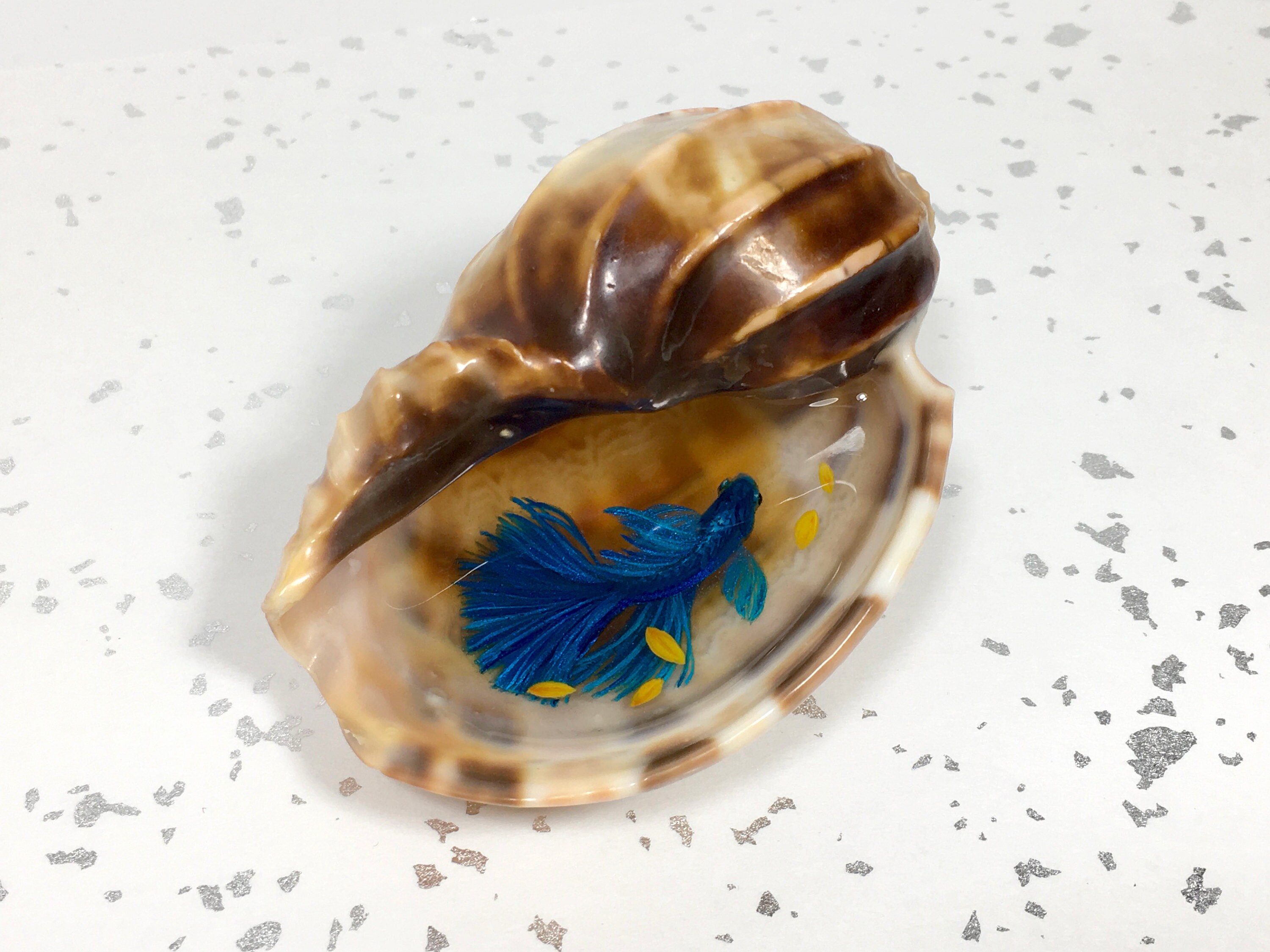 3D Resin Painting Shiny Blue Conch Betta Fish Betta Fish | Etsy