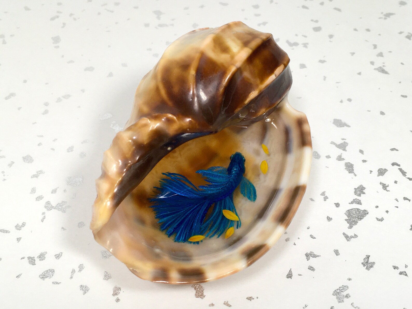 3D Resin Painting, Shiny Blue Conch Betta Fish, Betta Fish Resin ...