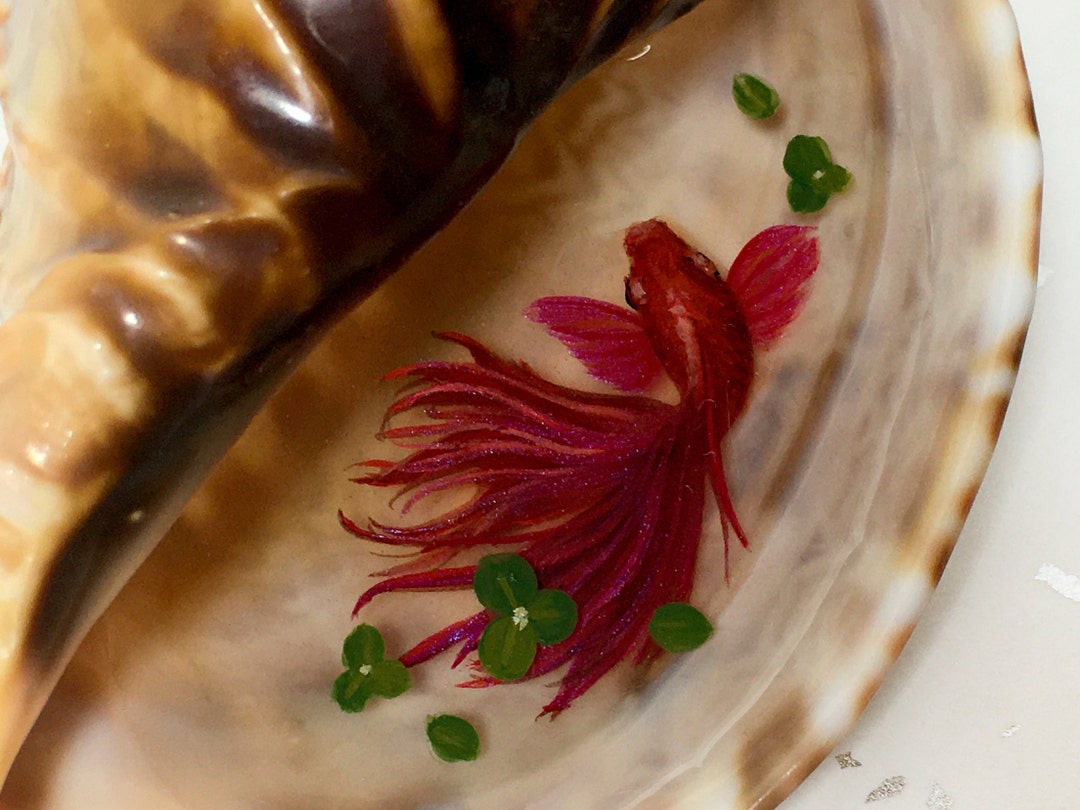 Red Betta in Conch Shell 3D Resin Painting Art Shiny - Etsy