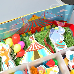 Fun at the Circus Homemade Playdough Kit, Sensory Bin, Montessori, Busy ...