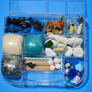 Arctic Animal Fun Sensory Playdough Kit, Sensory Bin, Montessori, Busy ...