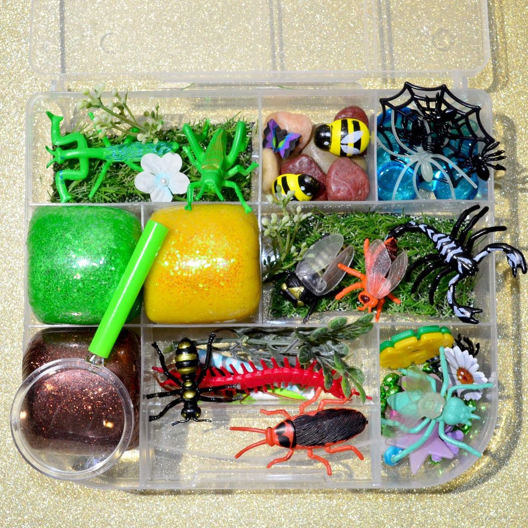 Bugs/insects Play Dough Kit, Creepy Crawlers Busy Box, Insects Sensory ...