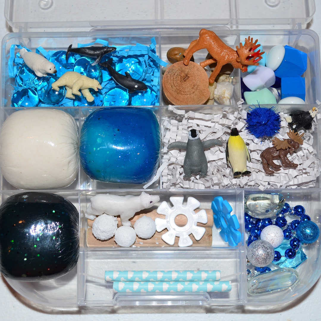 Arctic Animal Fun Sensory Playdough Kit Sensory Bin - Etsy
