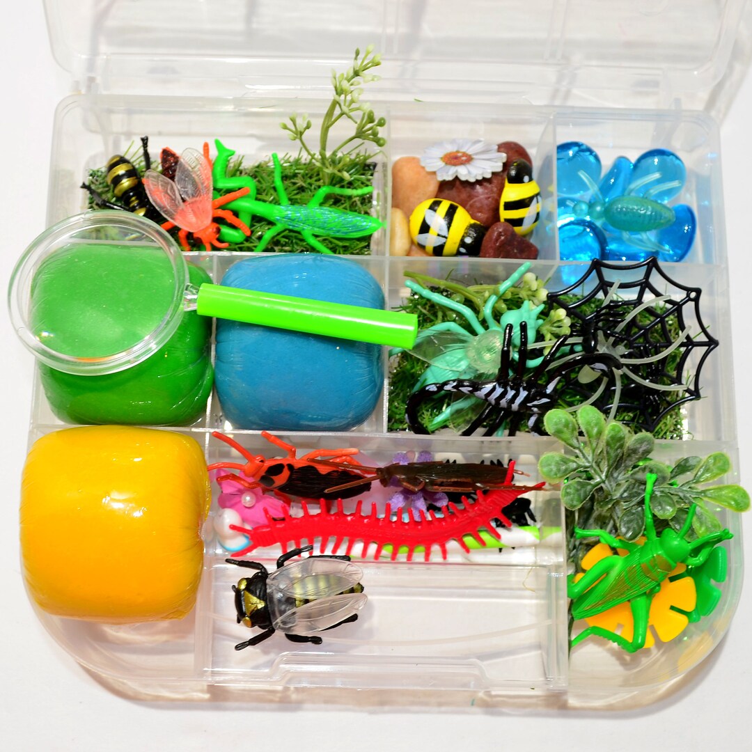 Bugs/insects Play Dough Kit, Creepy Crawlers Busy Box, Insects Sensory ...
