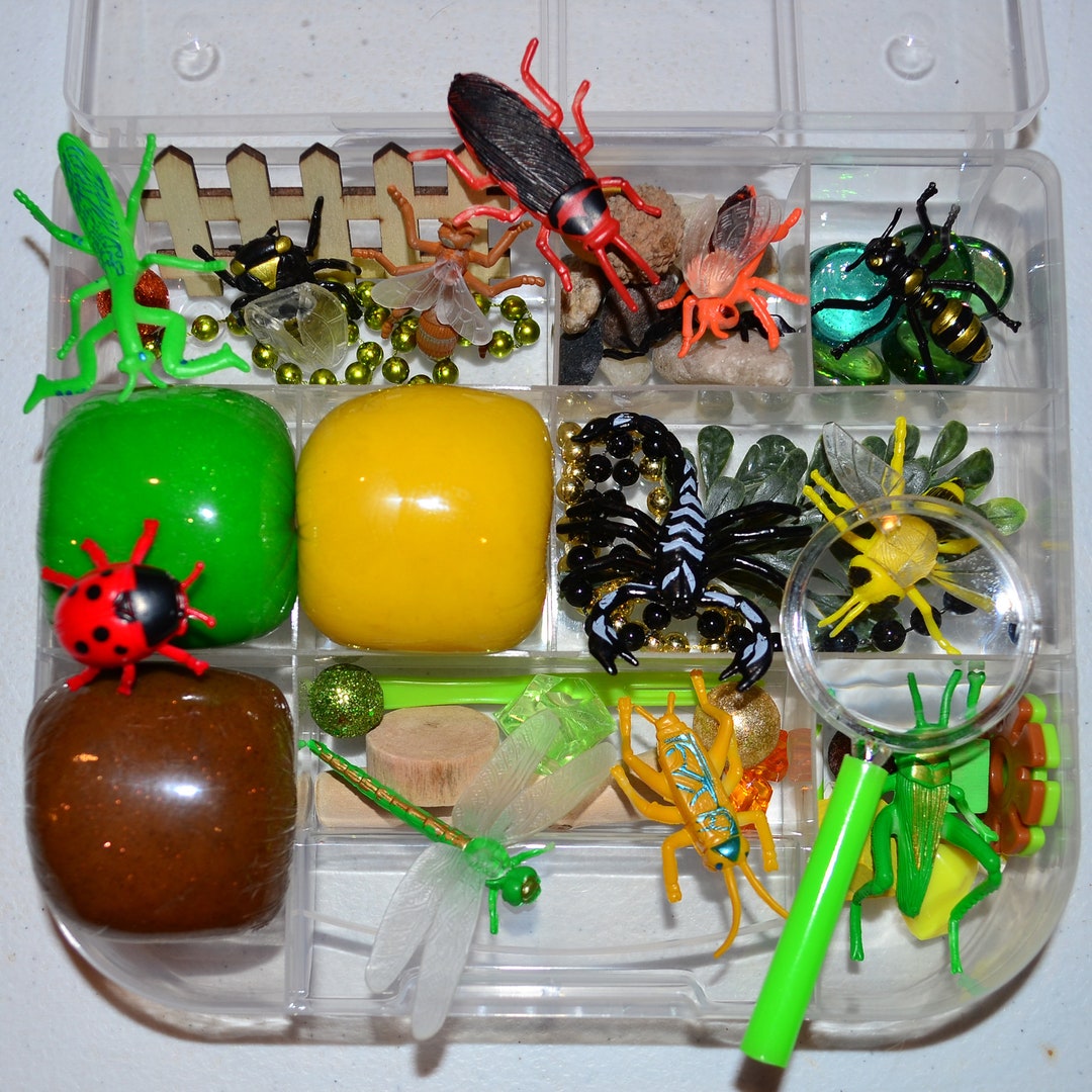 Bugs/insects Play Dough Kit, Creepy Crawlers Busy Box, Insects Sensory ...