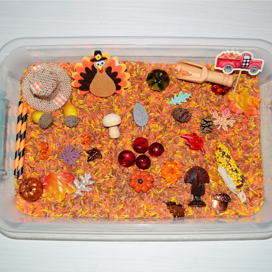 Fall Sensory Bin Sensory Rice Sensory Bin Sensory Kit - Etsy
